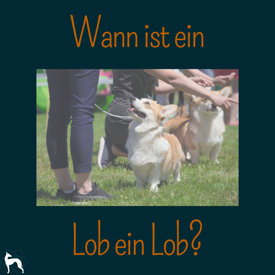 HUNDEPROFIL - Hund und Wissenschaft