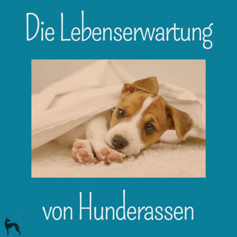 HUNDEPROFIL - Hund und Wissenschaft